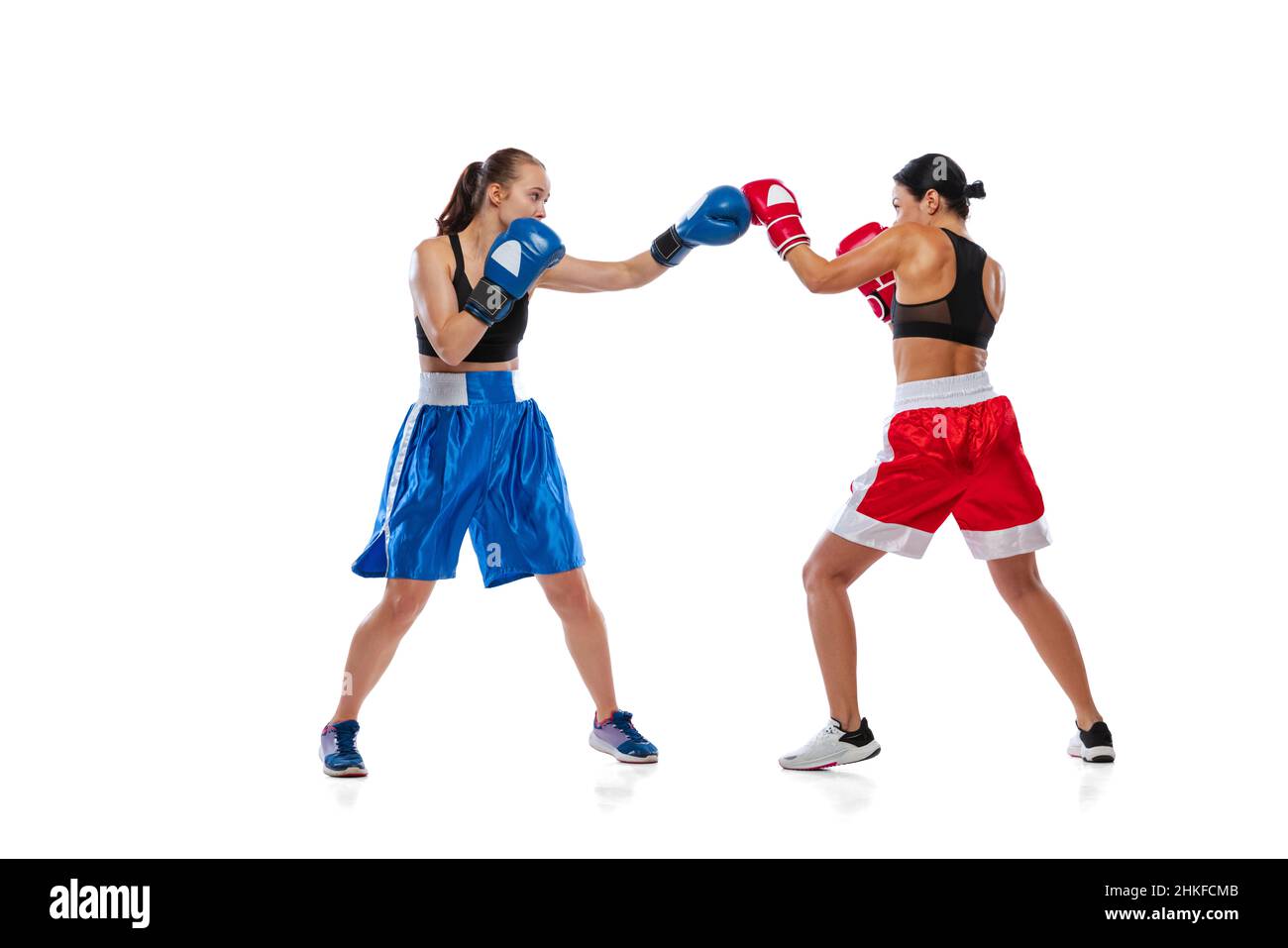 Two woman professional boxers boxing isolated on white studio ...
