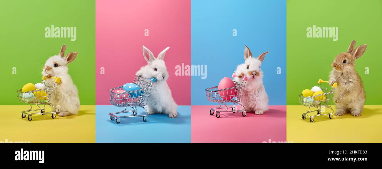 Collage with Easter bunny rabbits holding shopping basket with eggs and ...
