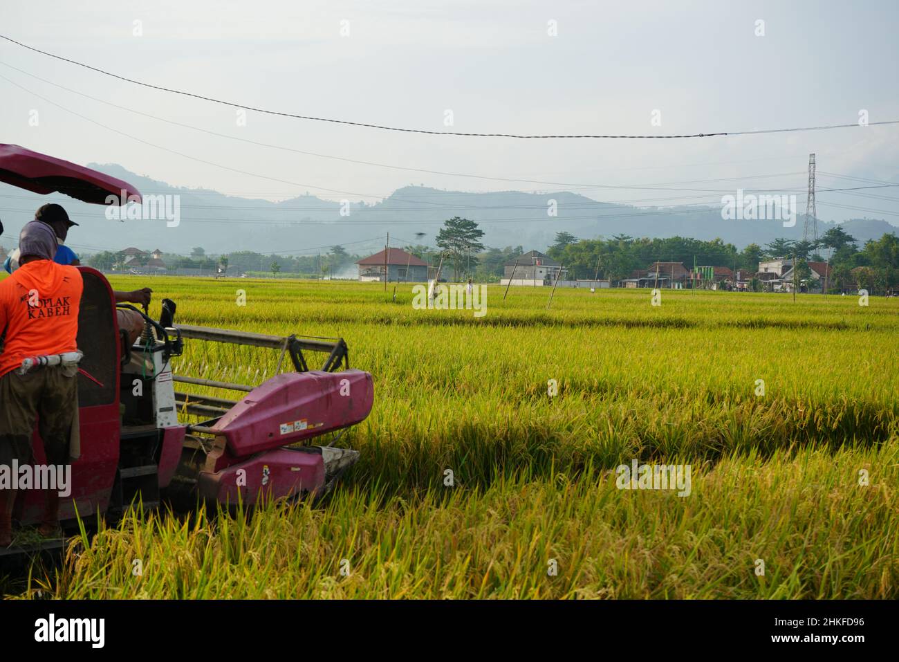 Pati, Indonesia - January, 2022 : Automatic rice harvester machine is ...