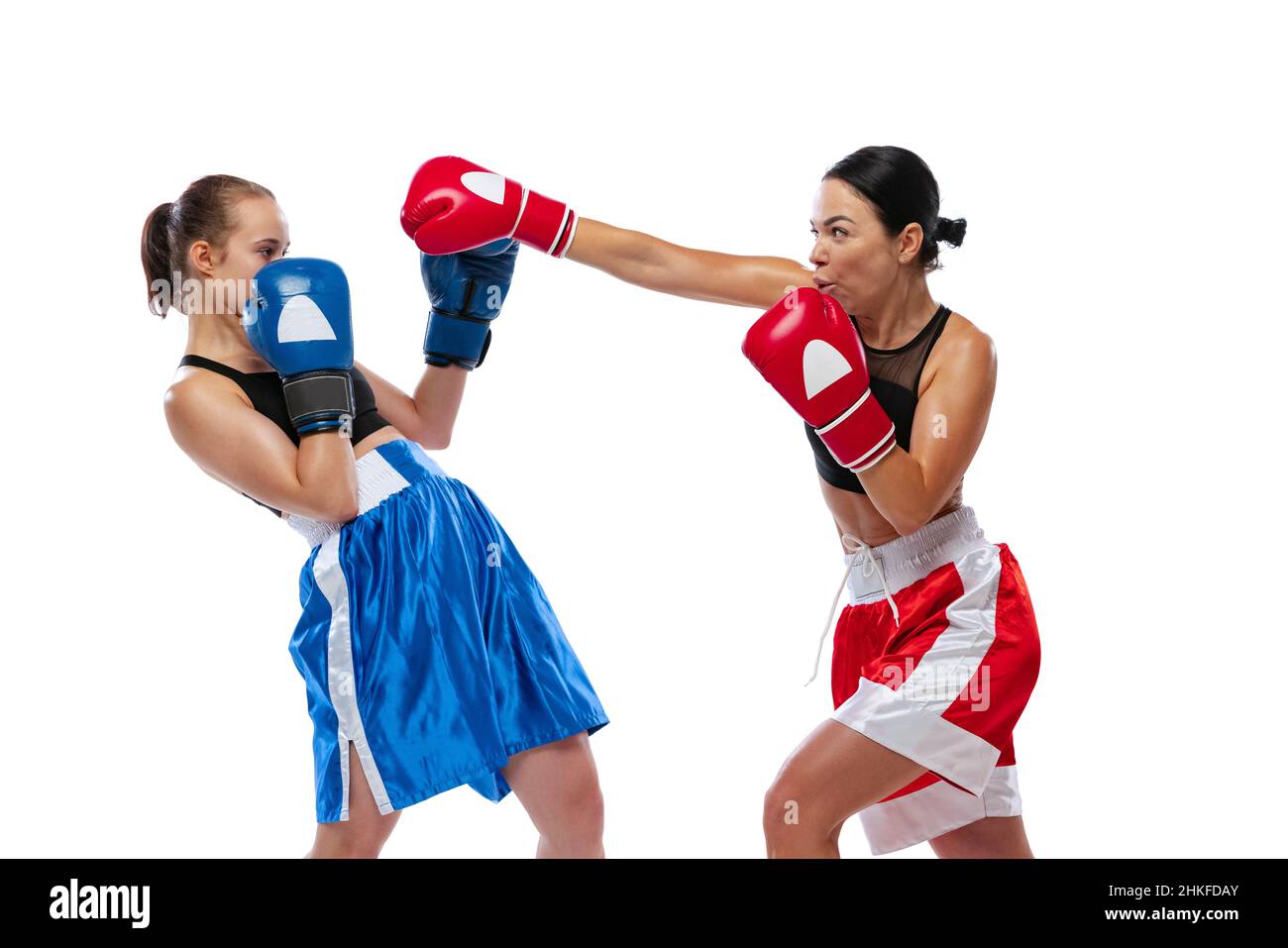 Two woman professional boxers boxing isolated on white studio ...