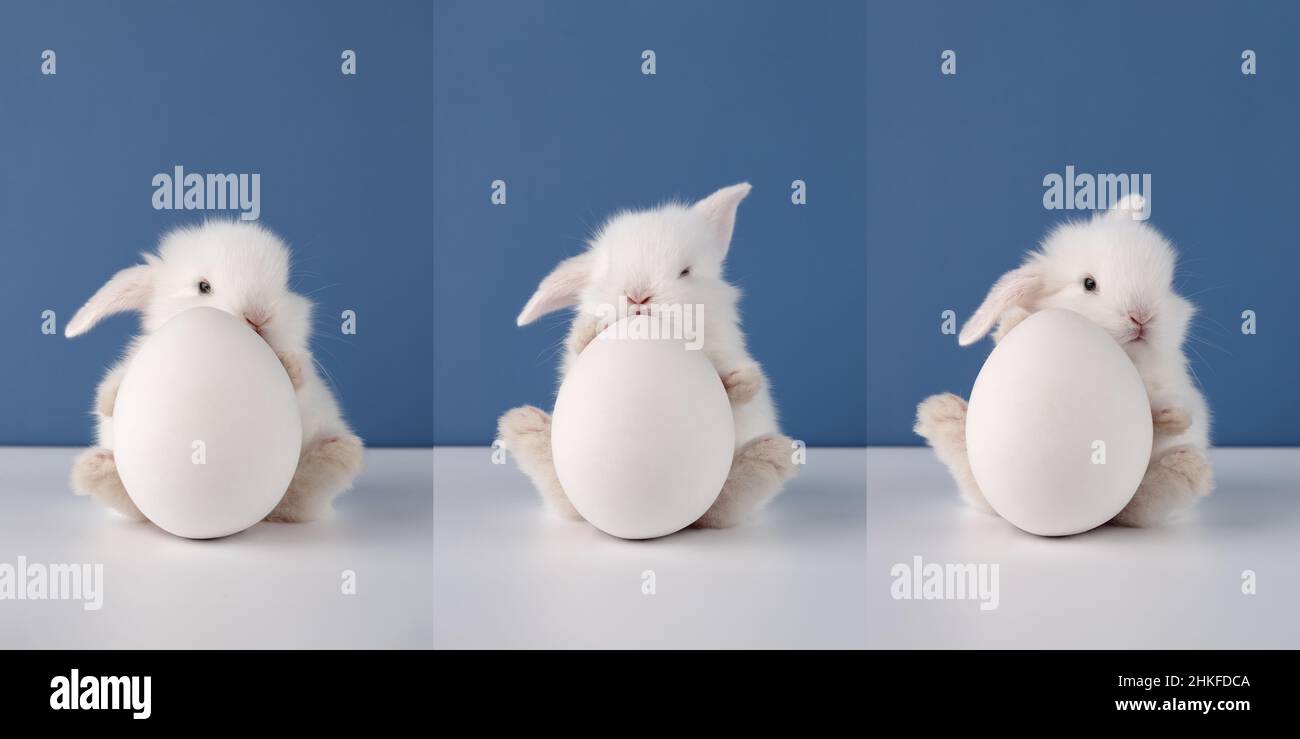 Collage with Easter bunny rabbits holding white egg on blue background ...