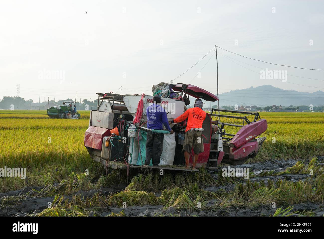 Pati, Indonesia - January, 2022 : Automatic rice harvester machine is ...