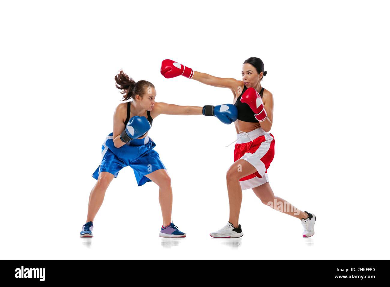 Two woman professional boxers boxing isolated on white studio ...