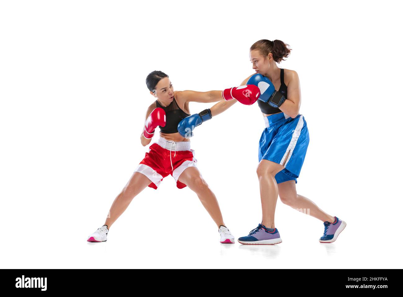 Dynamic portrait of two female professional boxers boxing isolated on ...