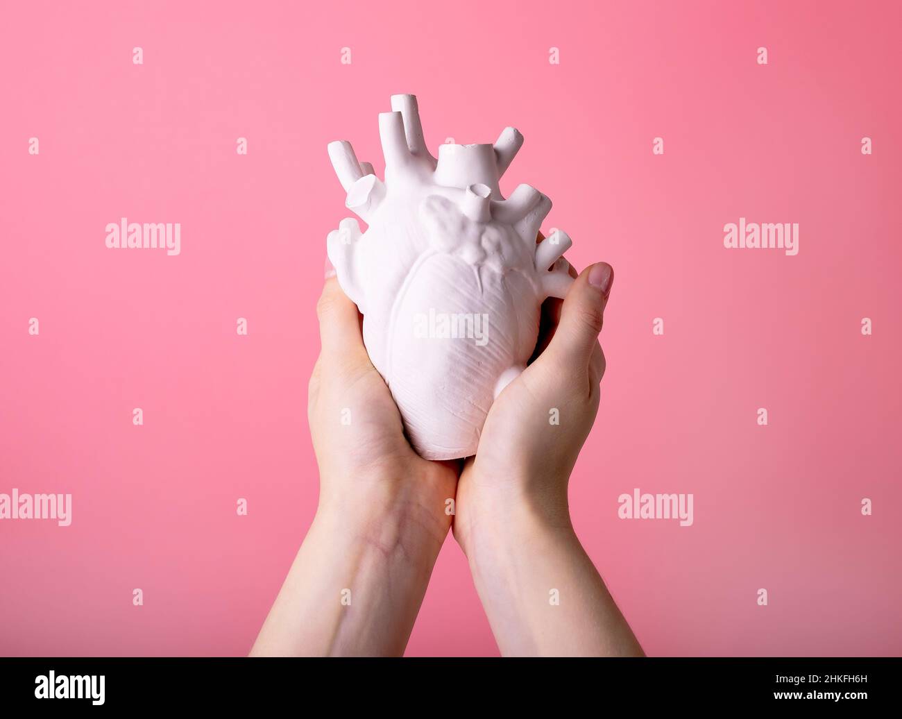 Hands holding heart organ layout. Health care or organ donation concept ...