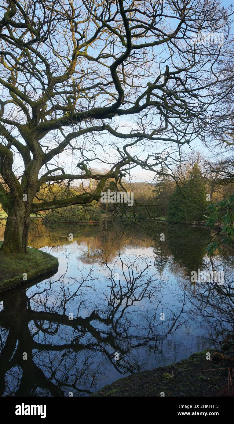 January scenery scene sunny hi-res stock photography and images - Alamy