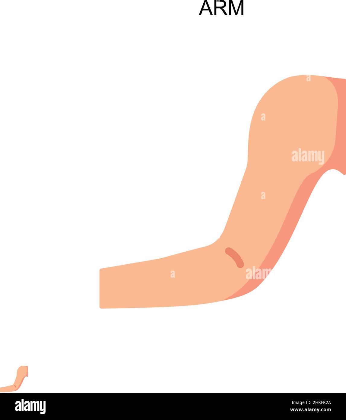 Arm Simple vector icon. Illustration symbol design template for web ...