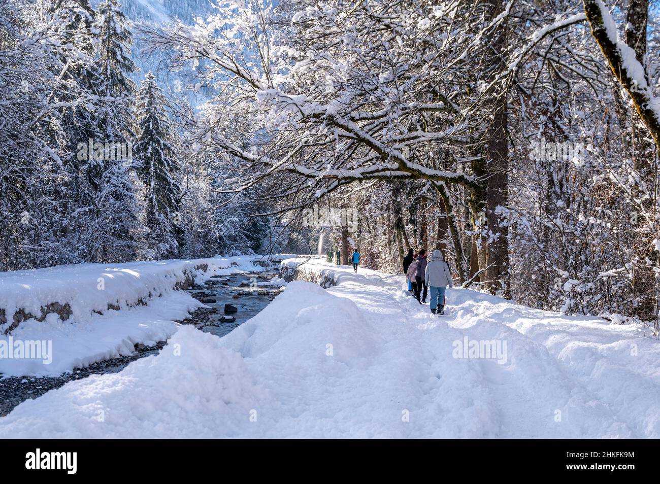France, Haute-Savoie (74), Chablais massif, Samoëns, Grand Massif ...