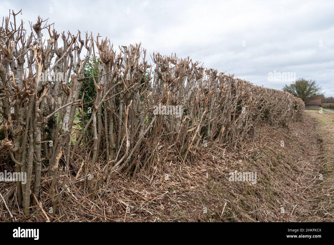 Recently flailed hi-res stock photography and images - Alamy