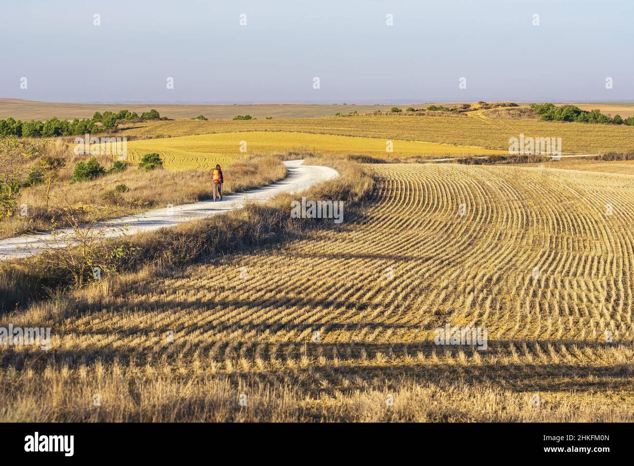 Camino de santiago spain meseta plateau hi-res stock photography and ...