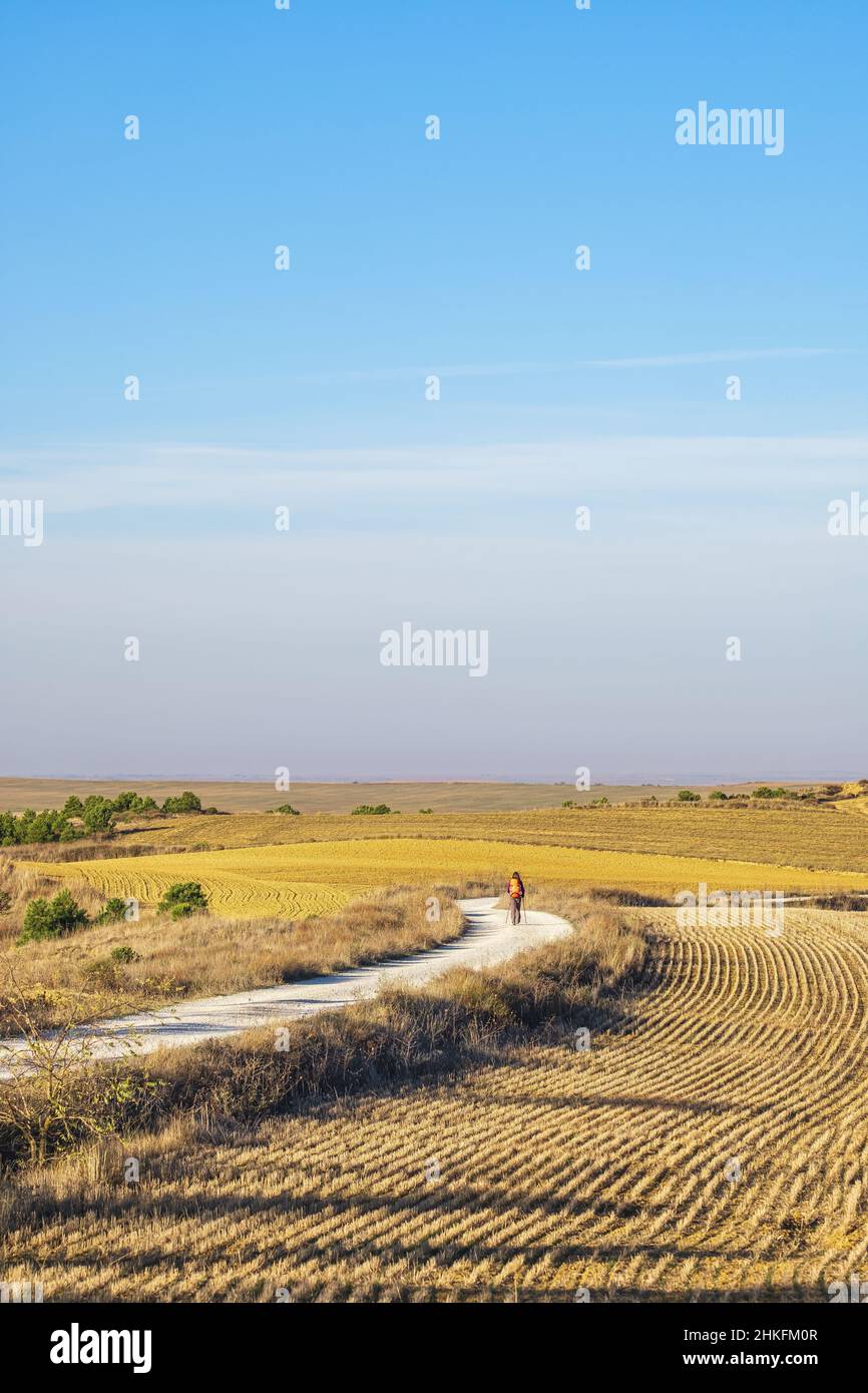 Camino de santiago spain meseta plateau hi-res stock photography and ...
