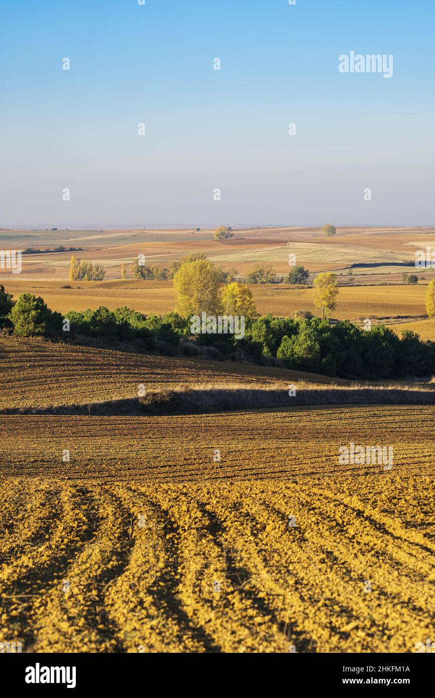 Camino de santiago spain meseta plateau hi-res stock photography and ...