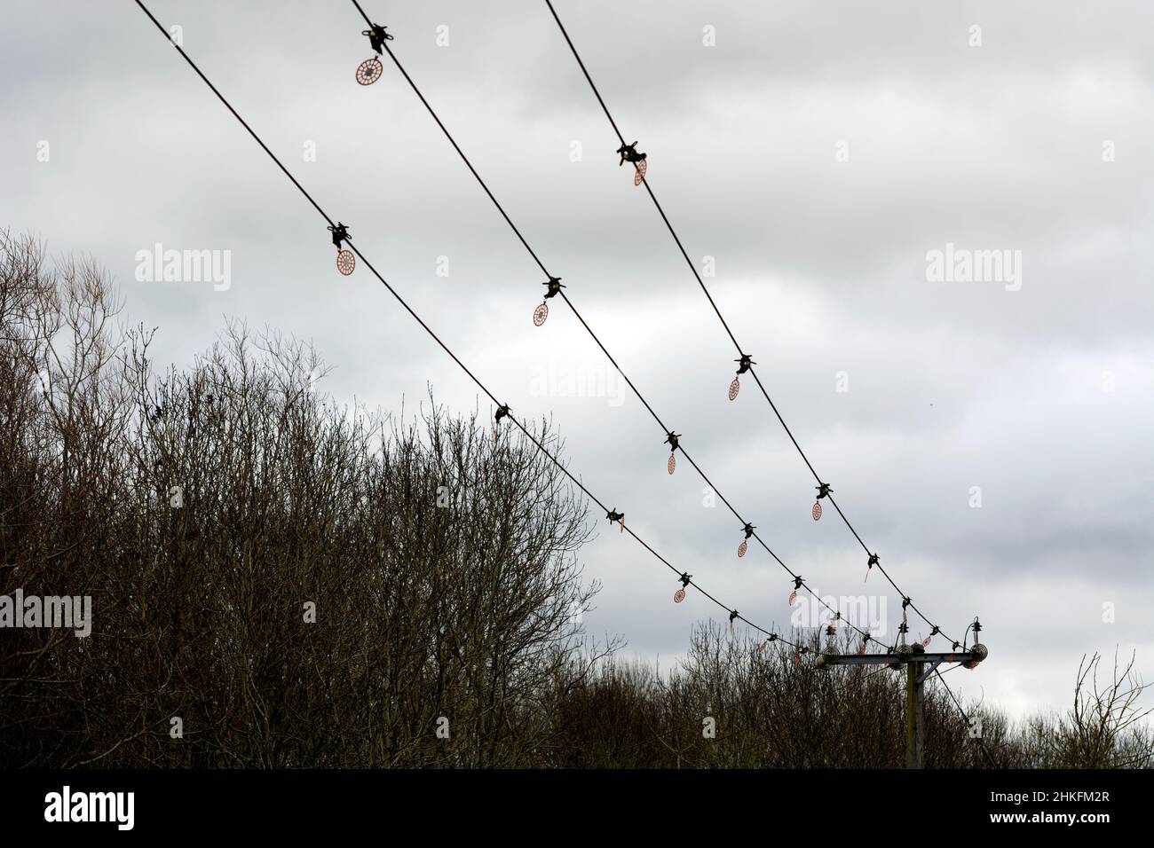 Bird markers power lines hi-res stock photography and images - Alamy