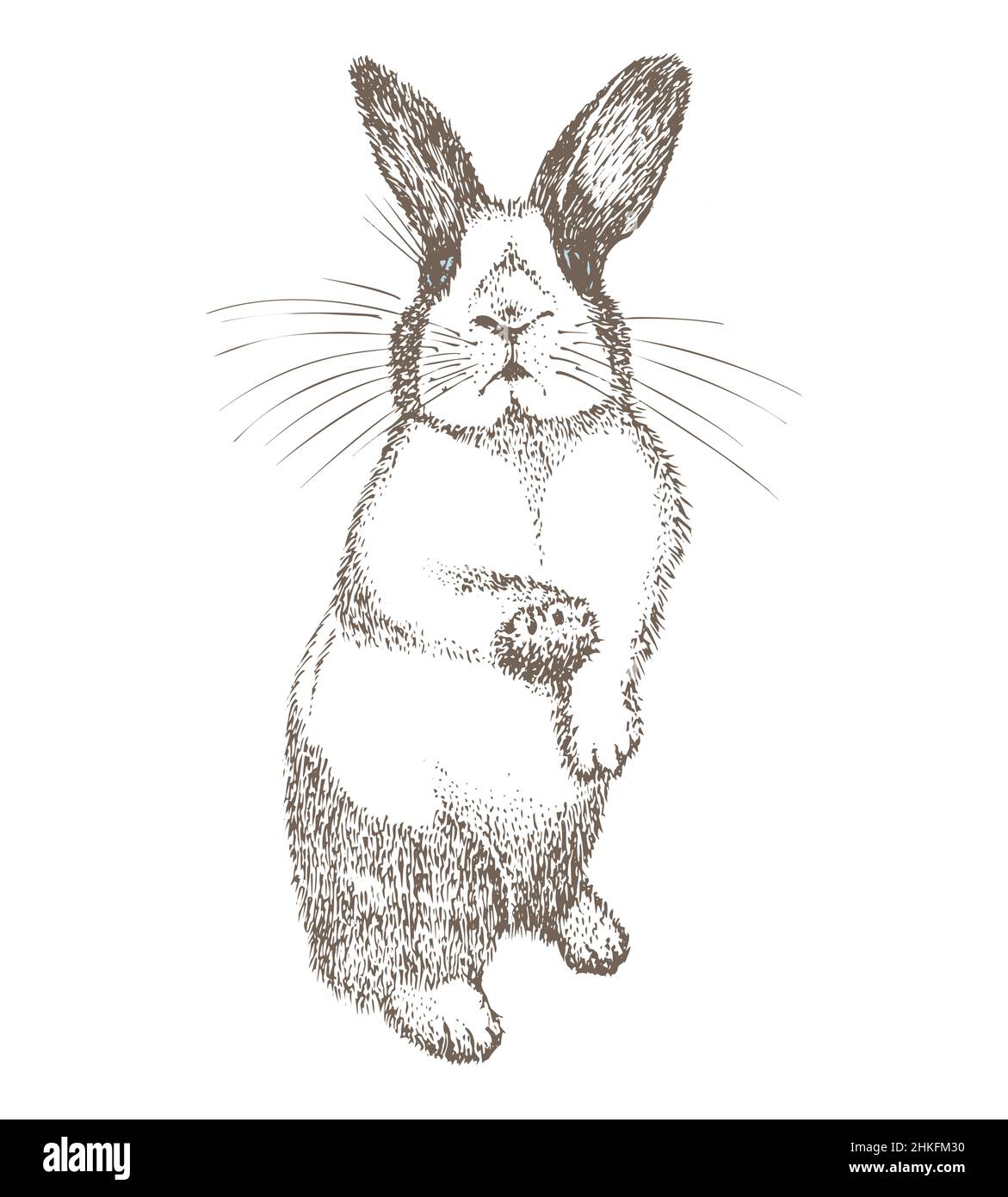 White rabbit with black spots around the eyes. Seating bunny. Hare ...