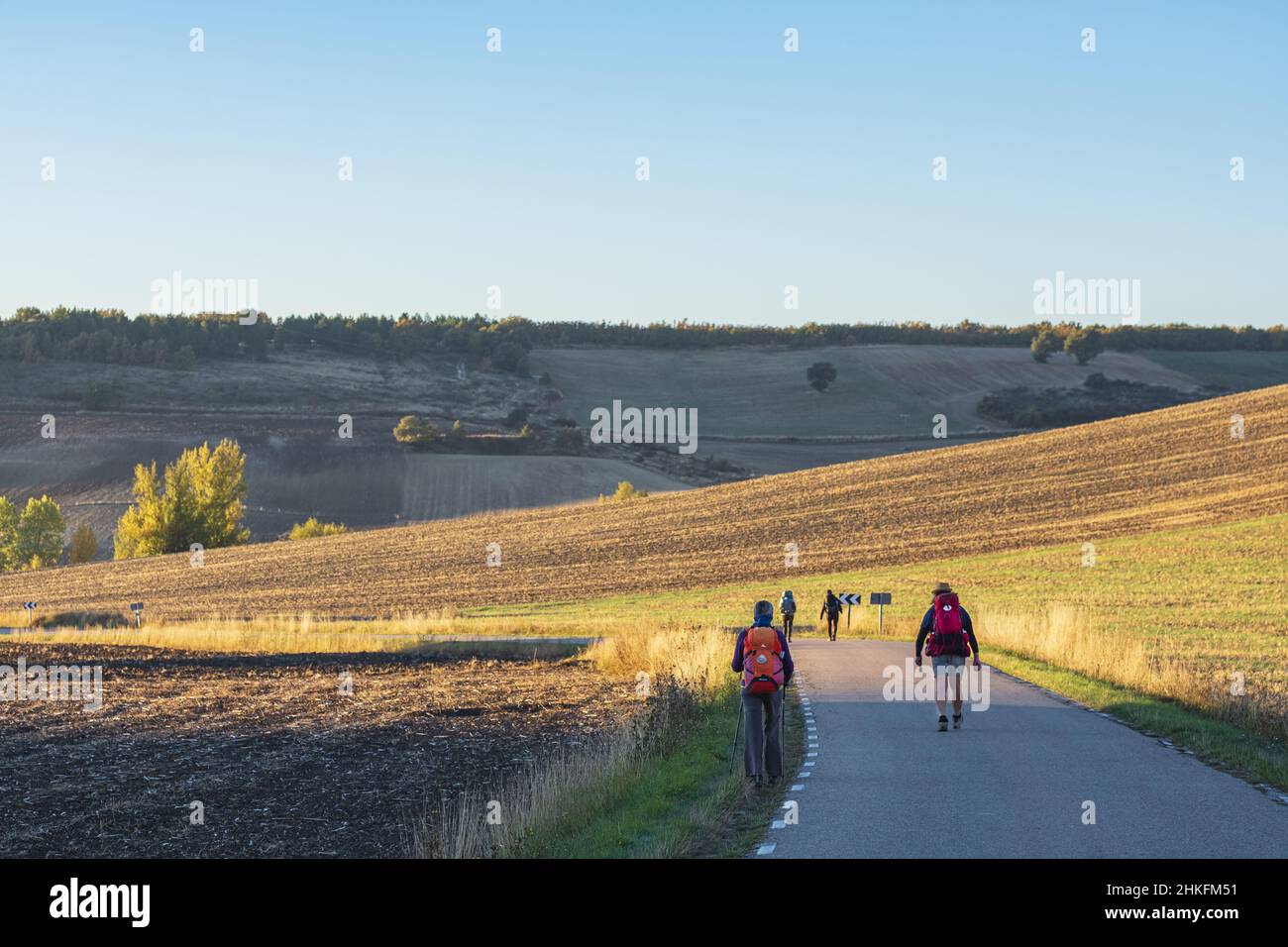 Spain, Castile and León, Cardeñuela Riopico, hike on the Camino Francés ...