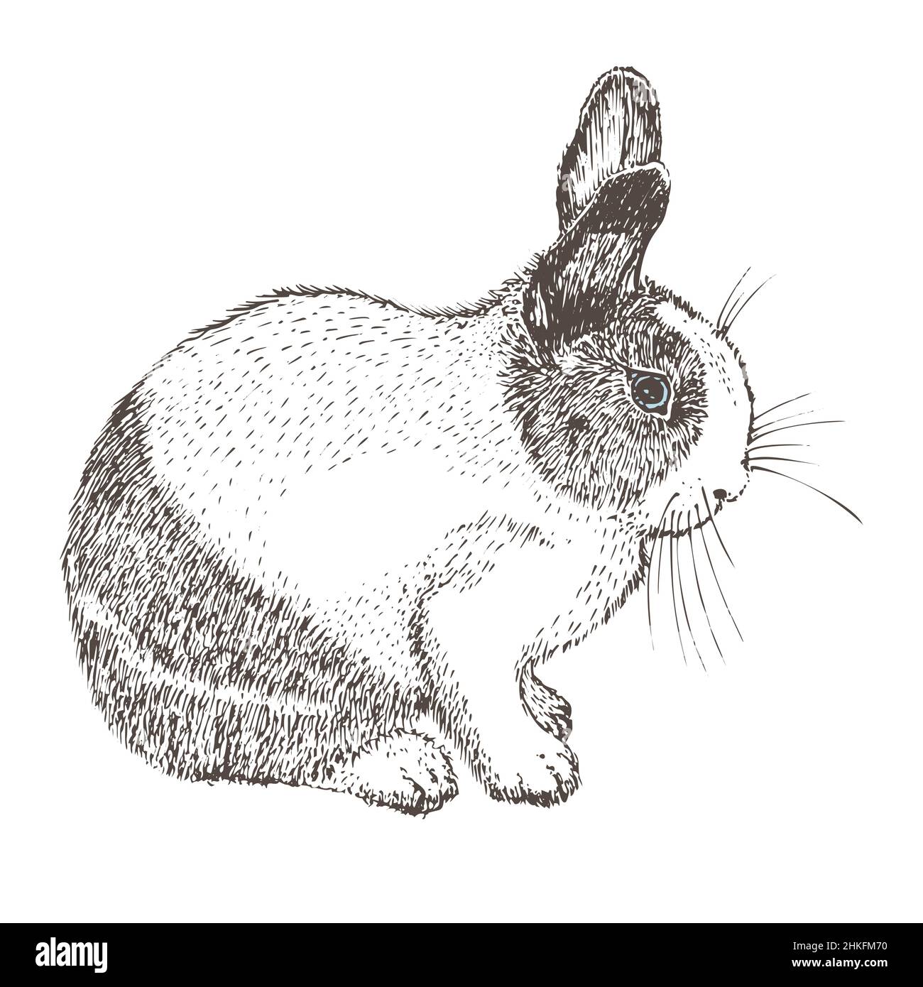 White rabbit with black spots around the eyes. Seating bunny. Hare ...