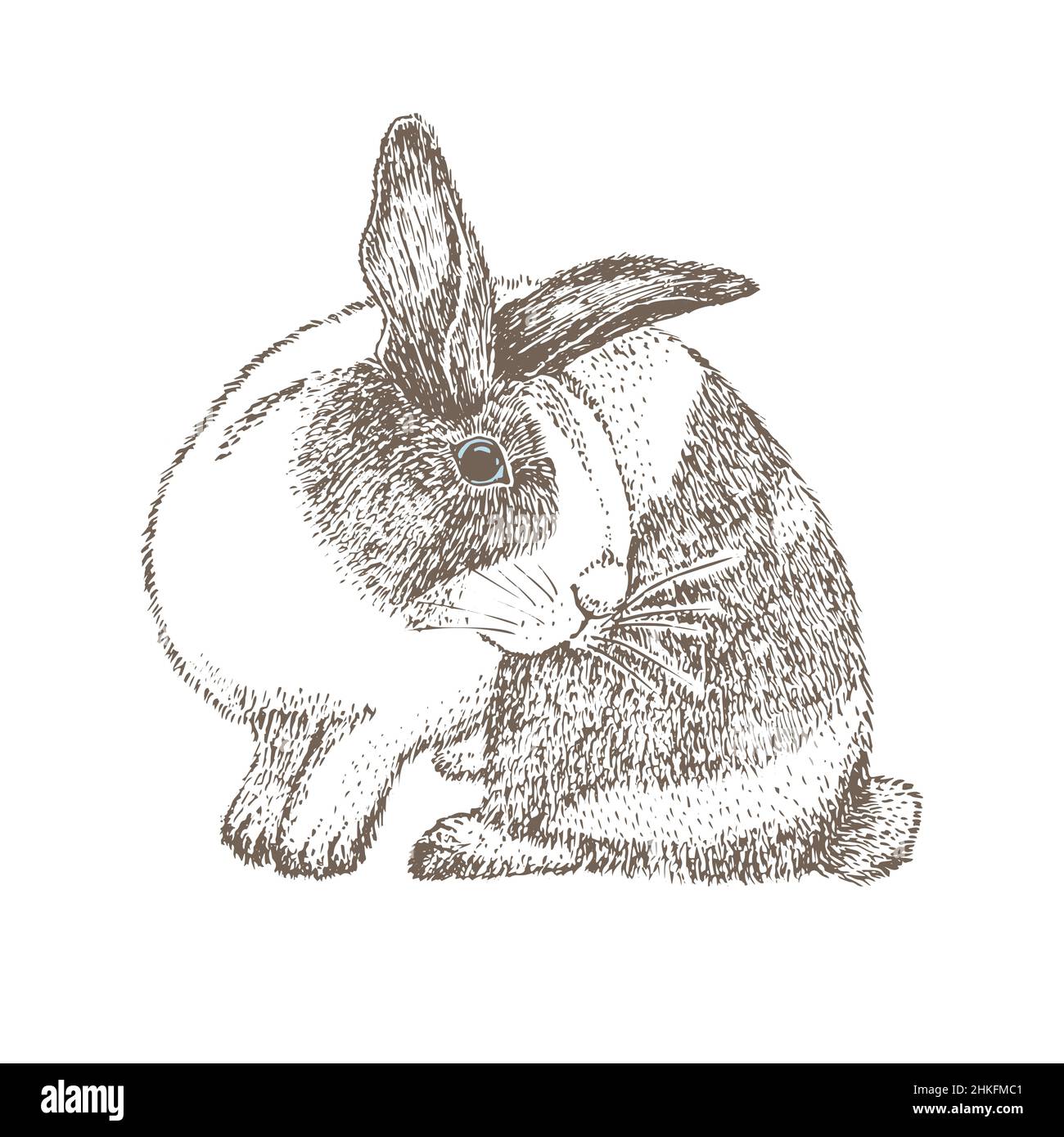 White rabbit with black spots around the eyes. Seating bunny. Hare ...