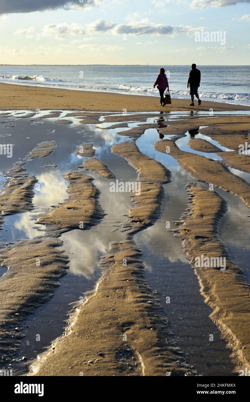 France, Calvados, Pays d'Auge, the cote Fleurie (Flowered coast ...