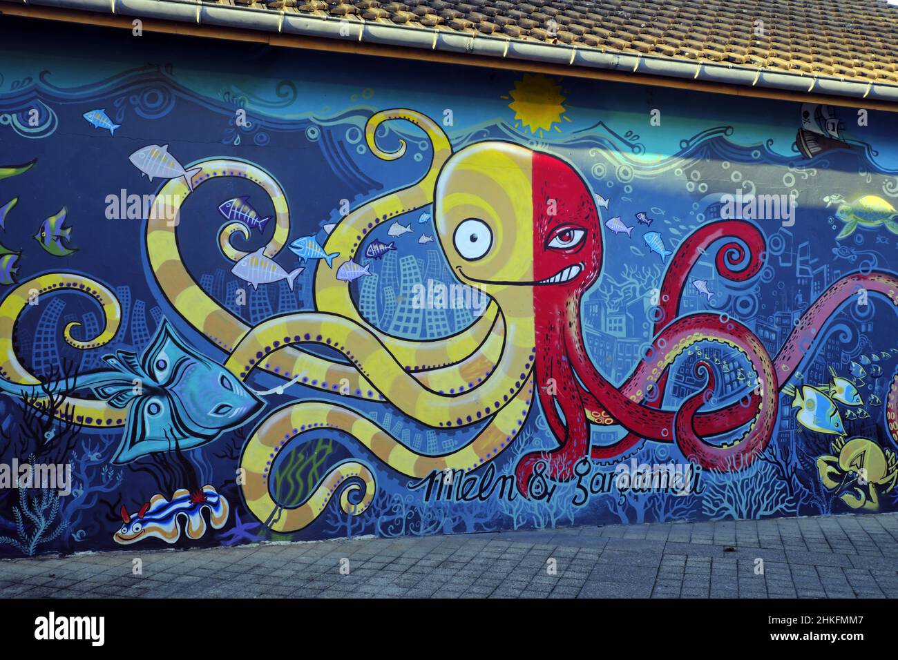 France, Haute Saone, Lure, Avenue du Square de la Gare, octopus and ...