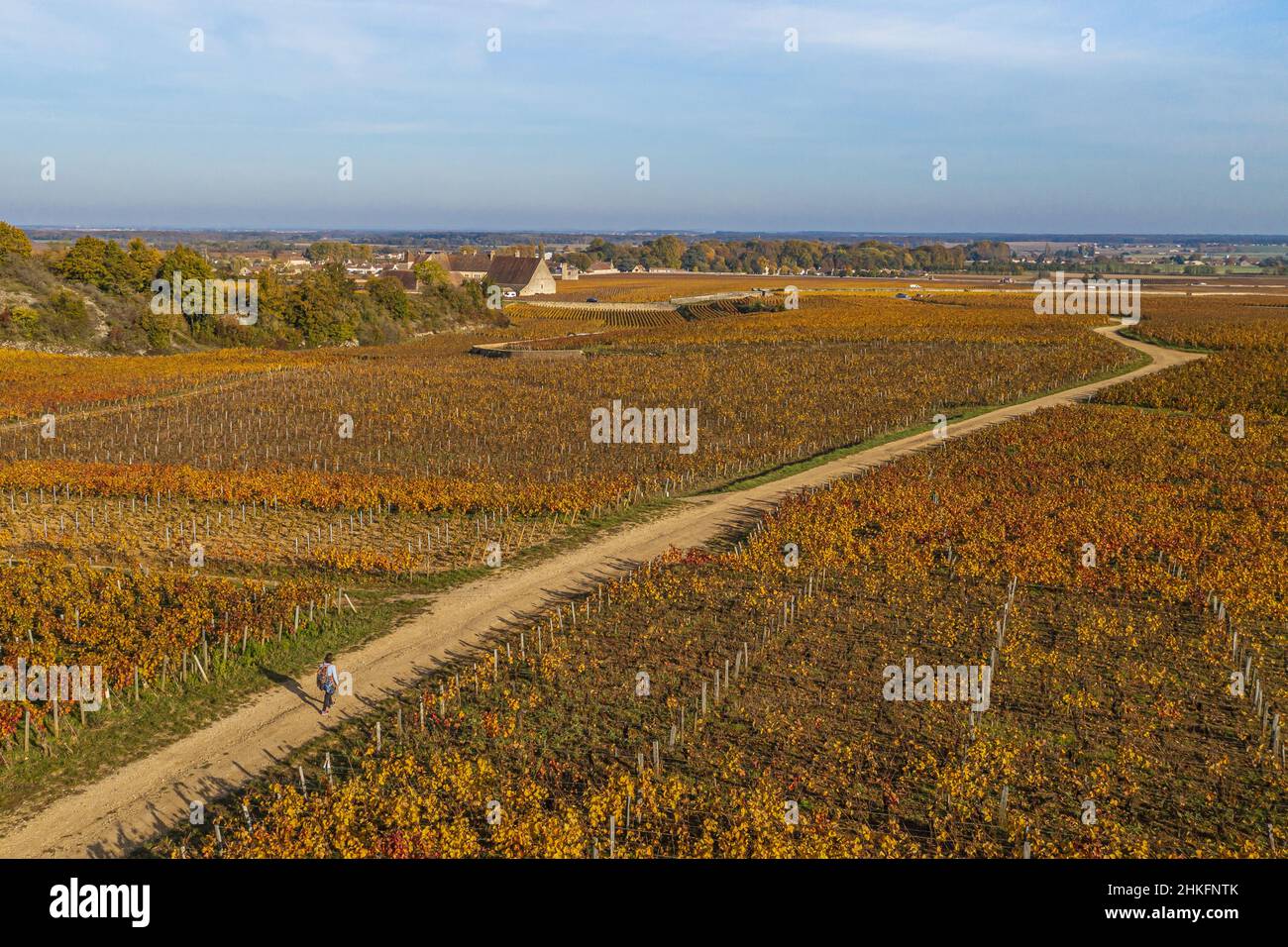 France, Cote d'Or, cultural Landscape of the climates of Burgundy ...
