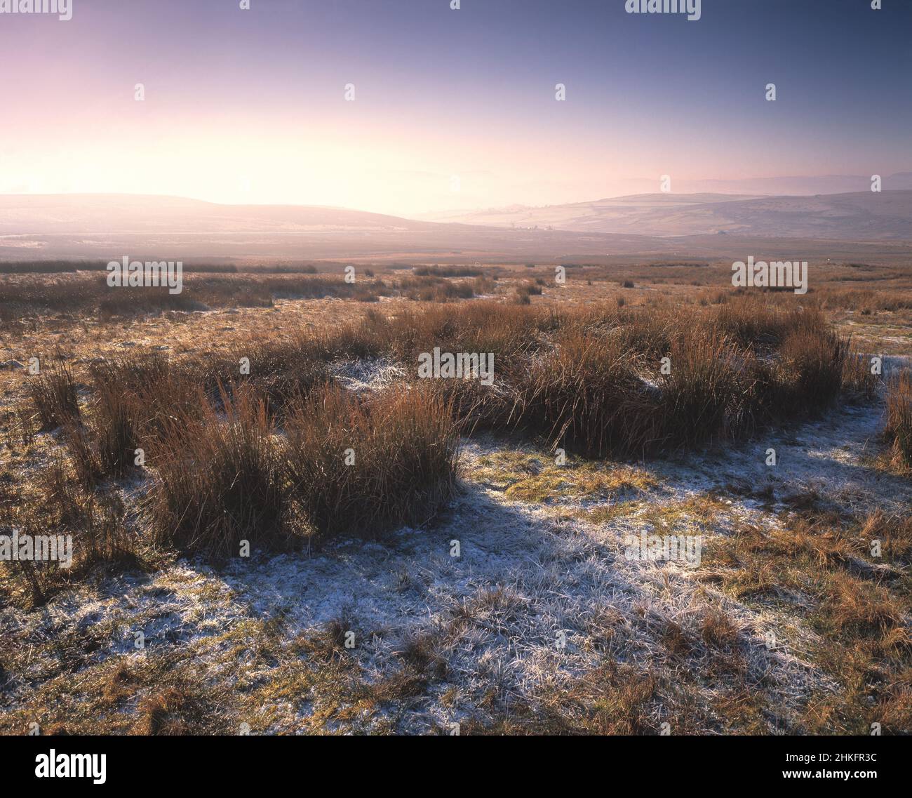 Welsh moors hi-res stock photography and images - Alamy