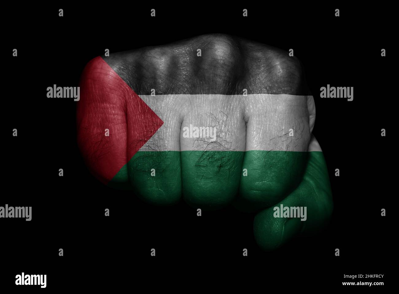 Flag of Palestine painted on strong fist on black background Stock ...