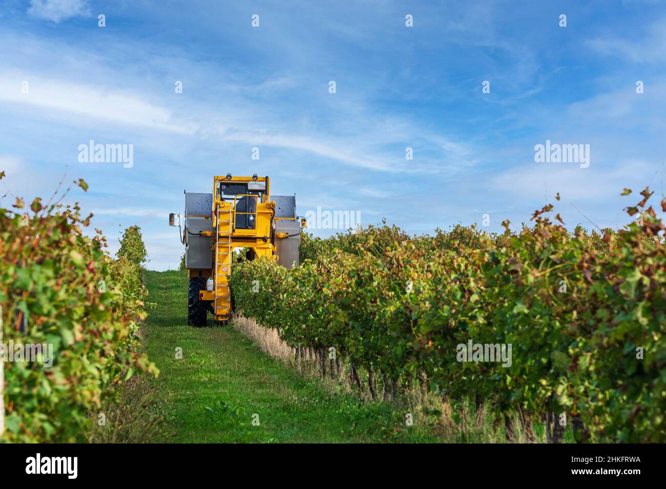 Grape harvesting machine hi-res stock photography and images - Alamy