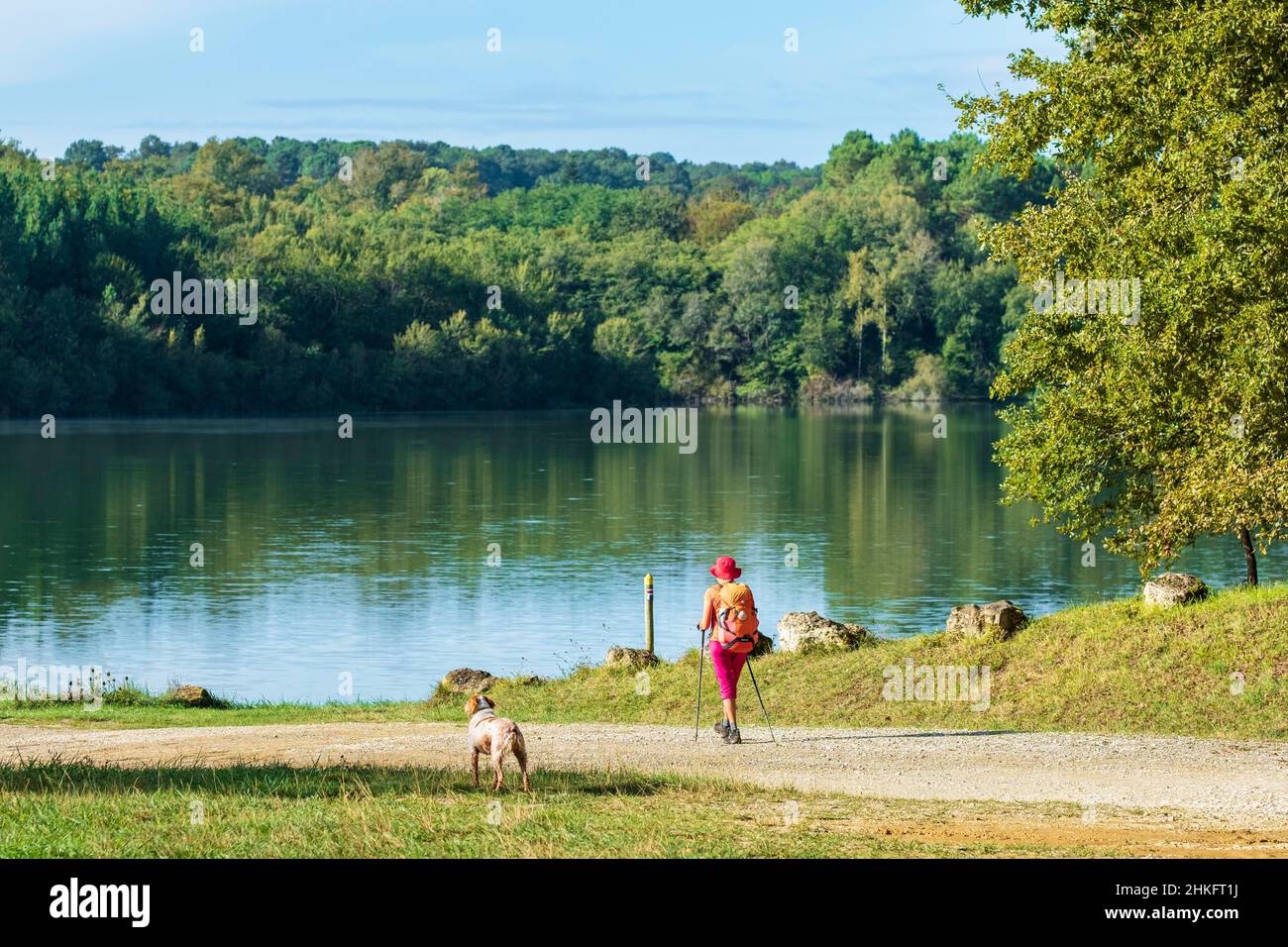 France, Gironde, Brouqueyran, hike on the Via Lemovicensis or Vezelay ...