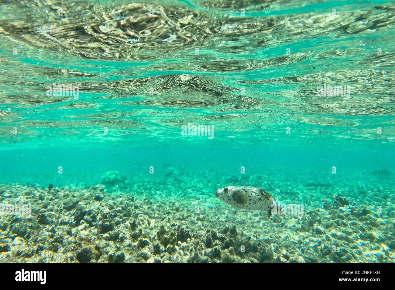 France, Reunion island (French overseas department), West Coast, Saint ...