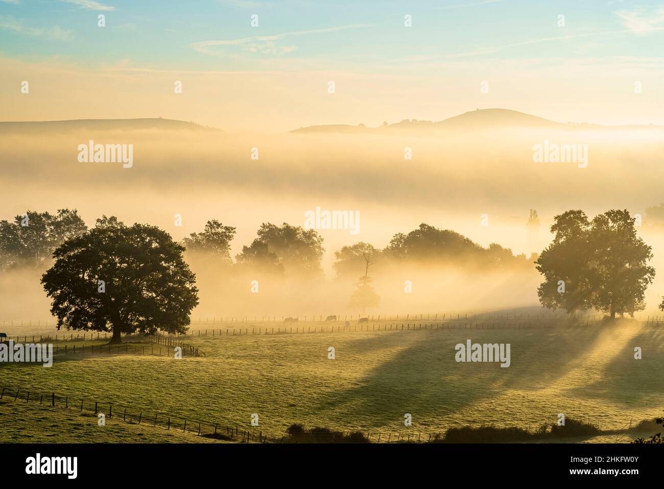 France, Pyrenees-Atlantiques, Ostabat-Asme, stage on the Via ...