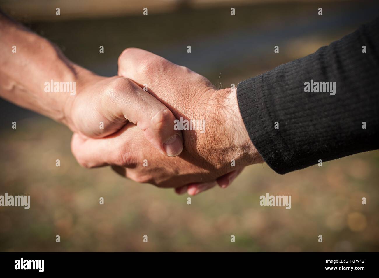 Closeup detail view of two strong man hands handshake and greeting each ...