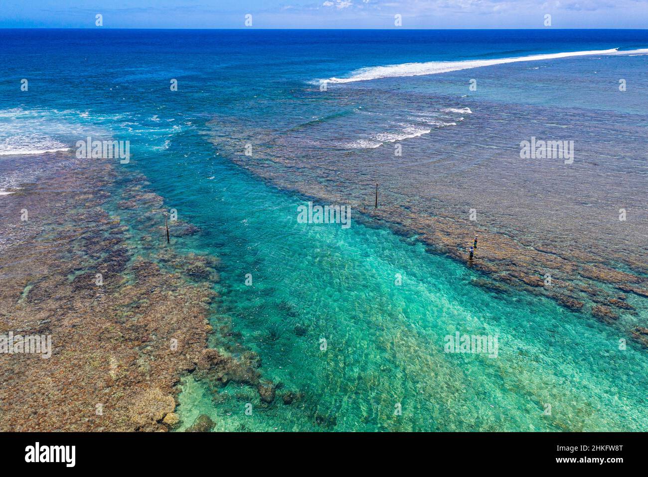 Saint gilles and shark hi-res stock photography and images - Alamy