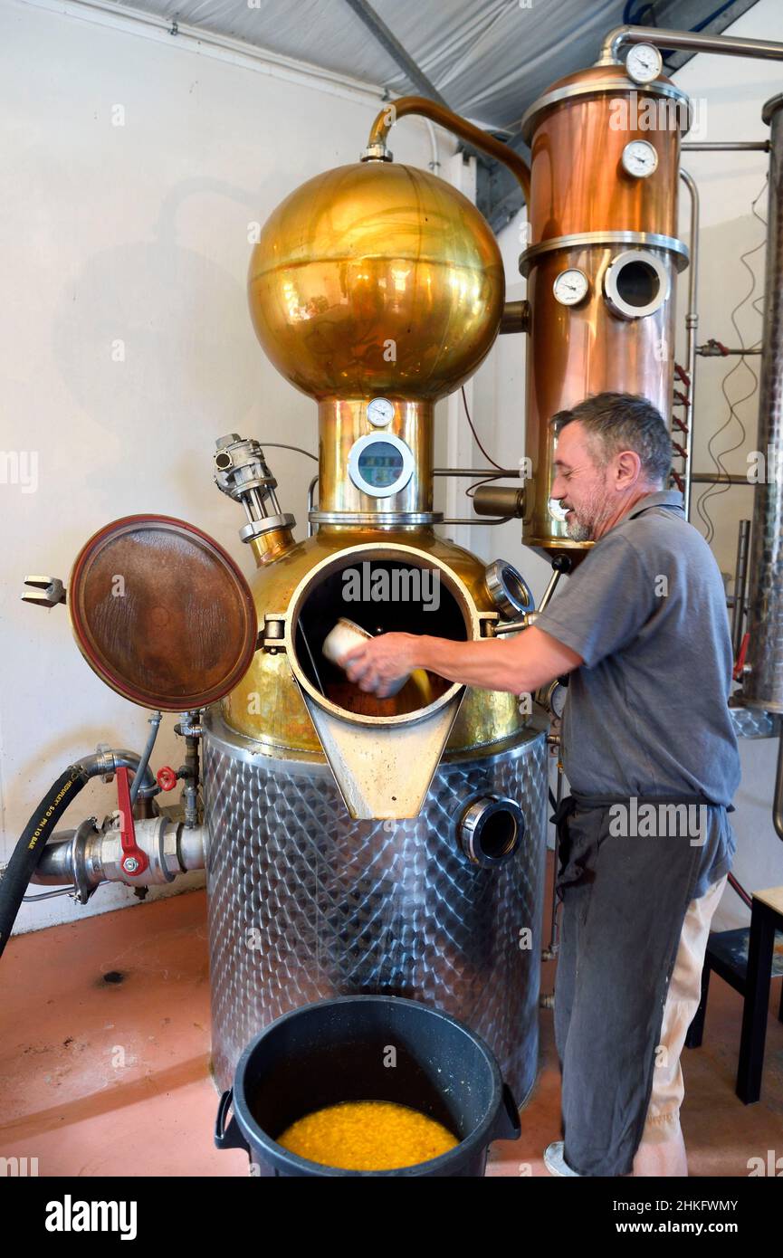 France, Reunion island (French overseas department), La Saline, La Part ...