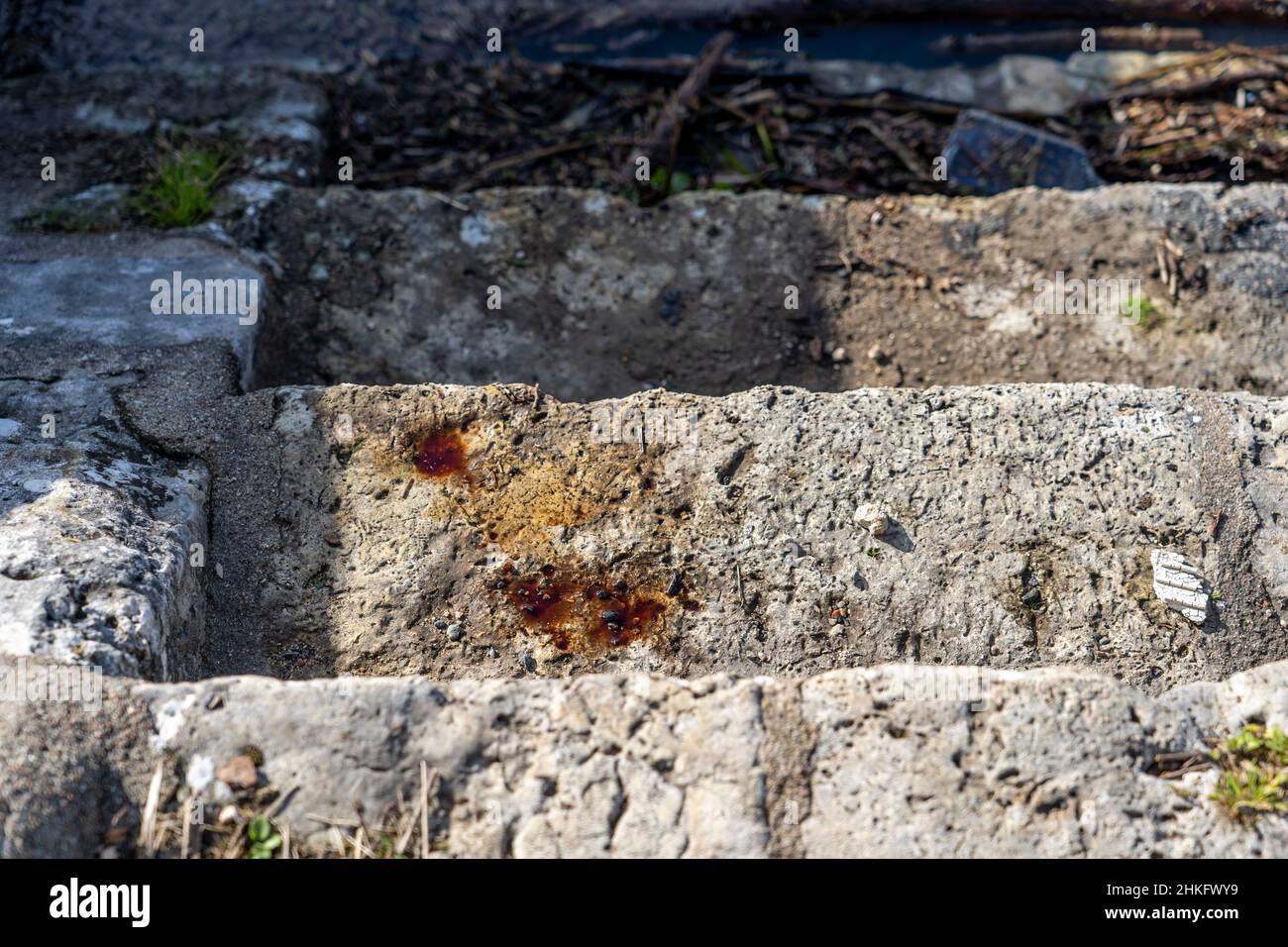 Odorous gland hi-res stock photography and images - Alamy