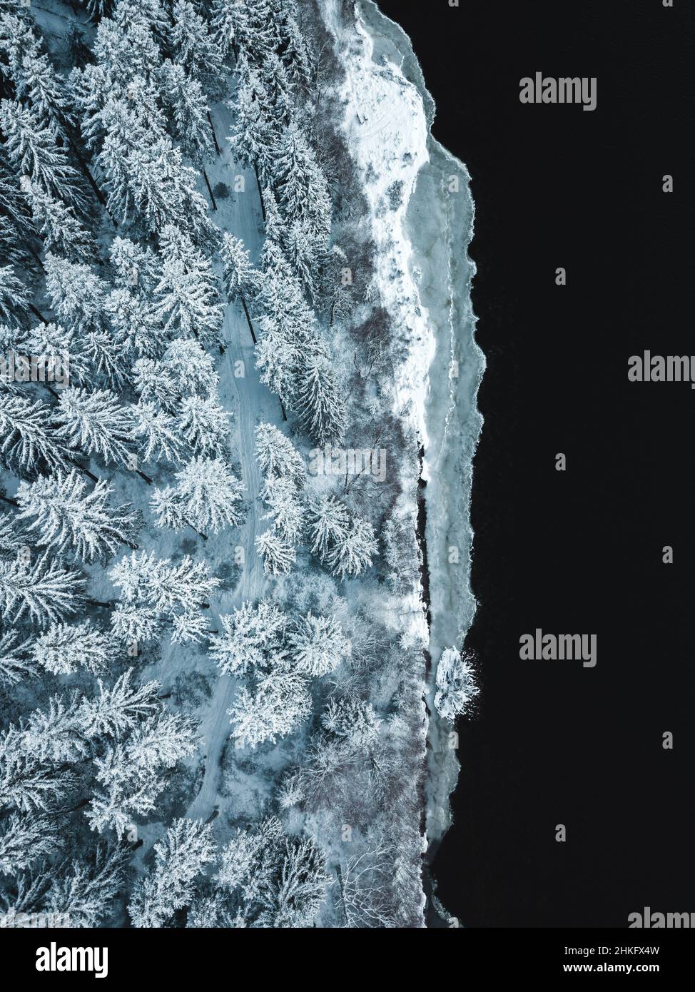 Dark lake surrounded by white trees Stock Photo - Alamy