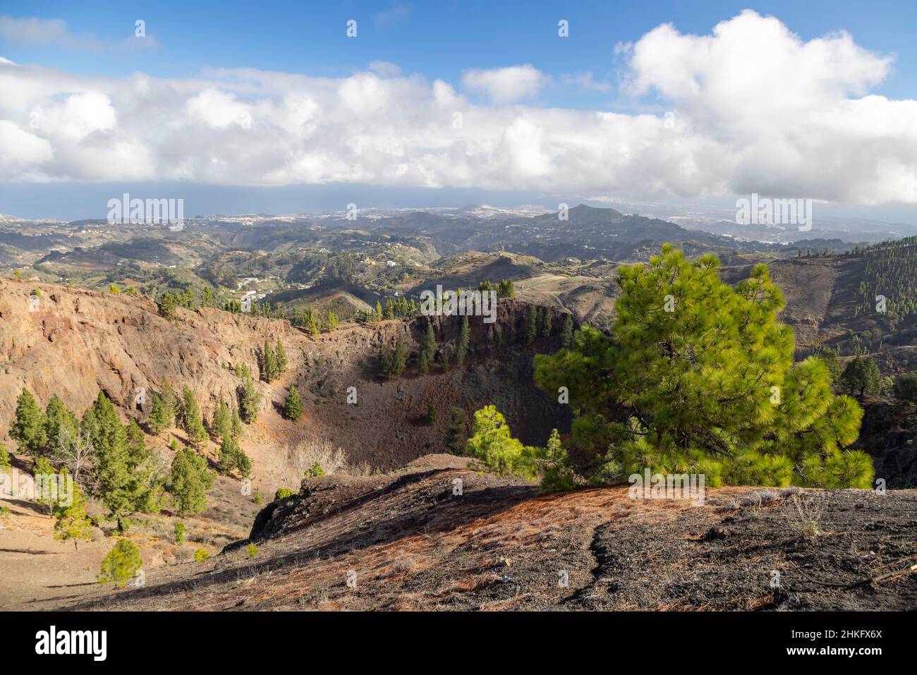 Spain, Canary Islands, Island of Gran Canaria, caldera of Los Pinos de ...