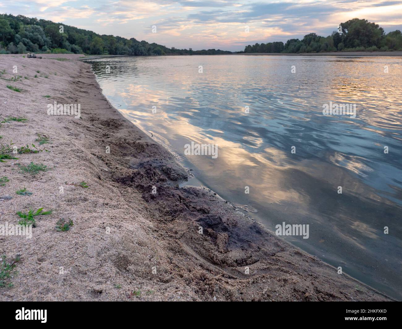France, Indre et Loire, beaver deposit (from a gland of the animal ...