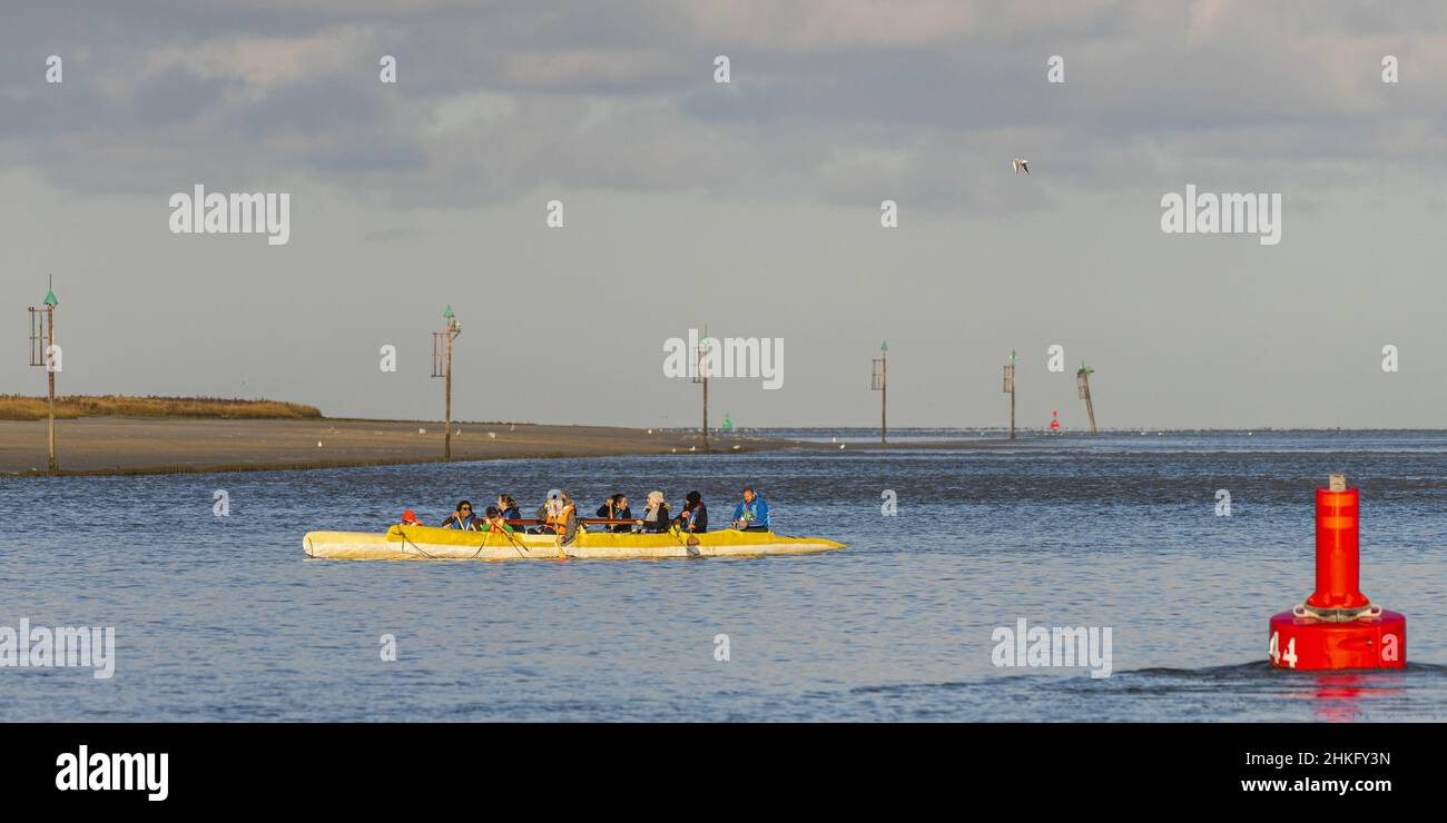 France, Somme, Bay of the Somme, Saint-Valery-sur-Somme, Cape Hornu ...