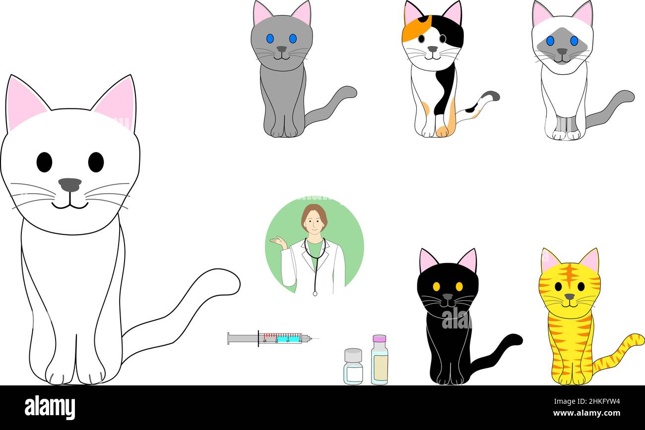 Sitting woman cat Cut Out Stock Images & Pictures - Alamy