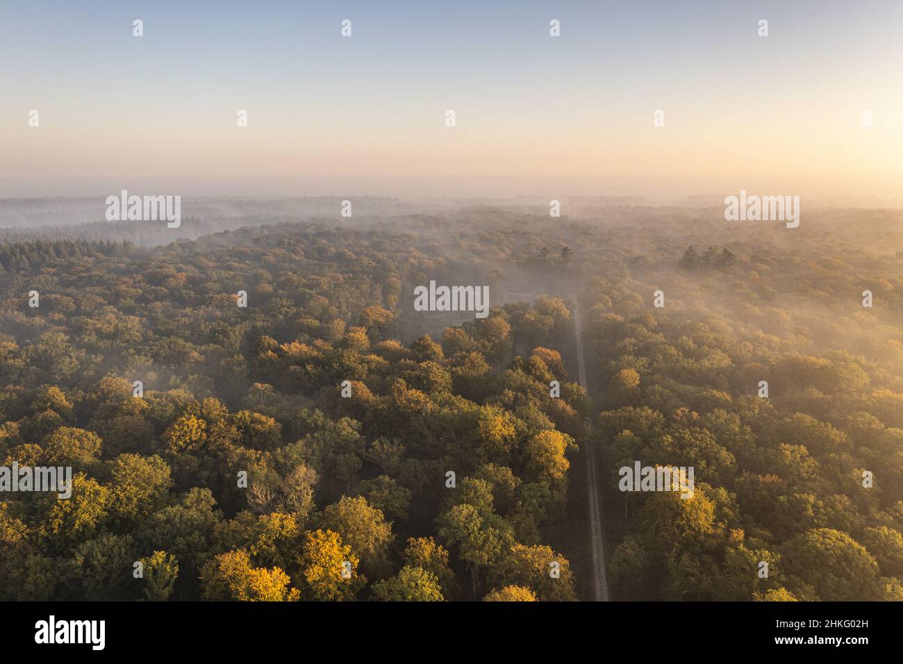 France, Somme, Crécy-en-Ponthieu, the forest of Crécy in the colors of ...