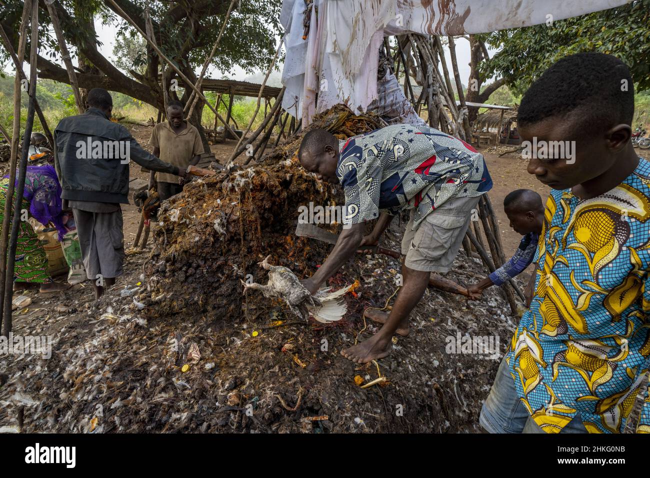 Benin, dancoli, voodoo sacred shrine dedicated to the deity Dancoli ...