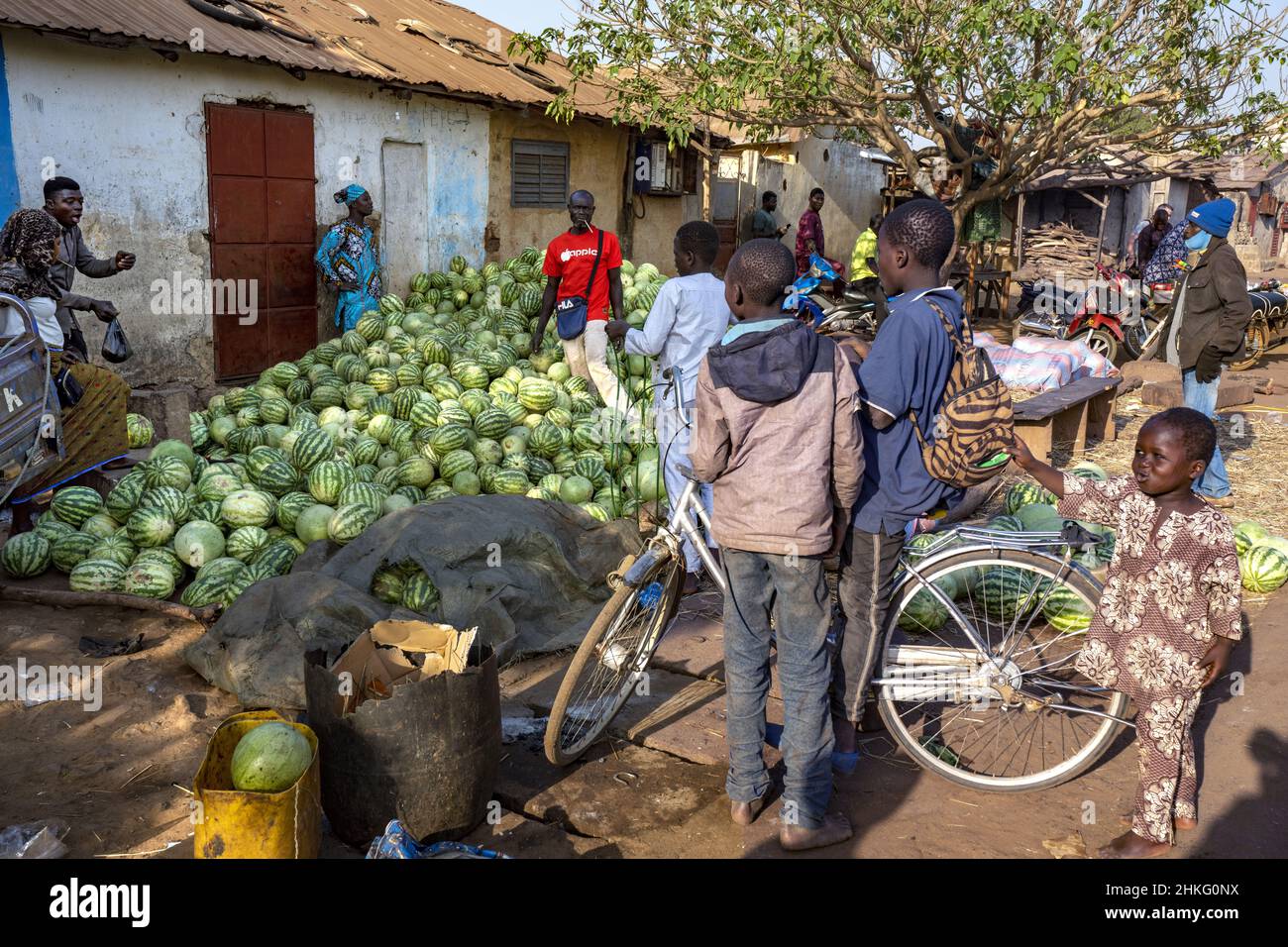 Benin, Djougou, market day, watermelons Stock Photo - Alamy