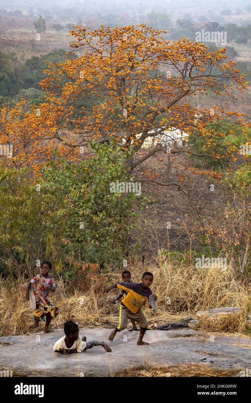 Benin, Djougou province, Taneka beri, Taneka tribe Stock Photo - Alamy