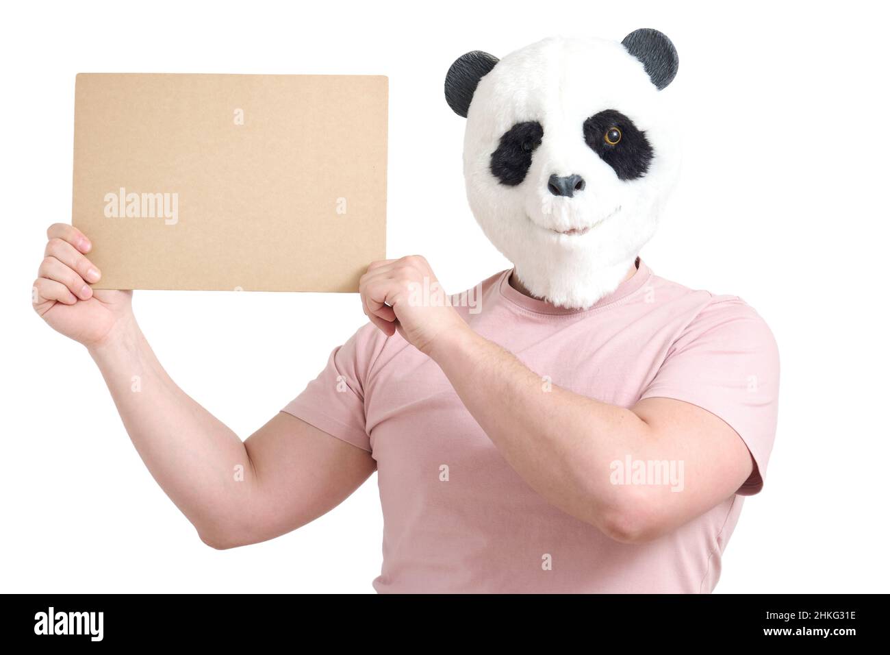 Man wearing a panda mask head holding white empty banner, isolated ...