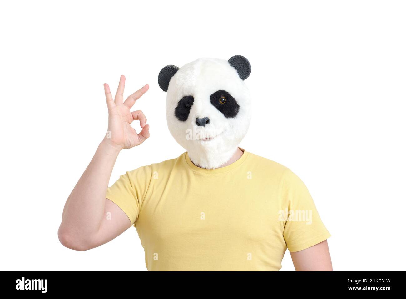 Giant Panda Head Costume