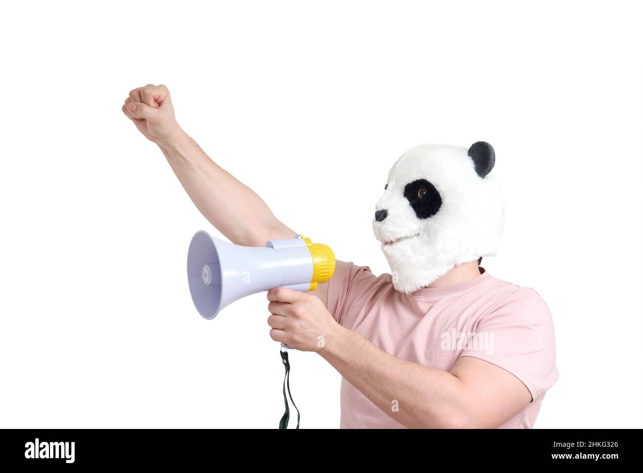 Man wearing a panda mask head shouting into megaphone, isolated Stock ...