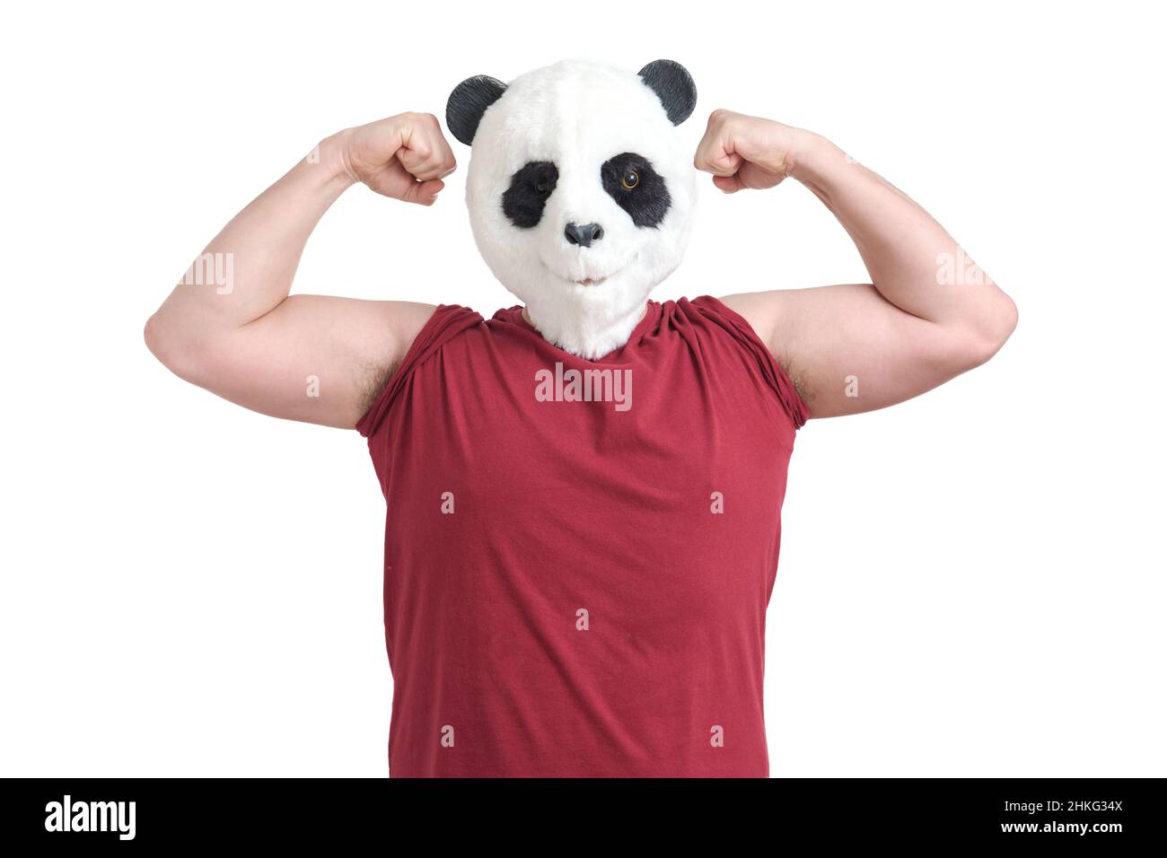 Panda bear disguise costume hi-res stock photography and images - Alamy