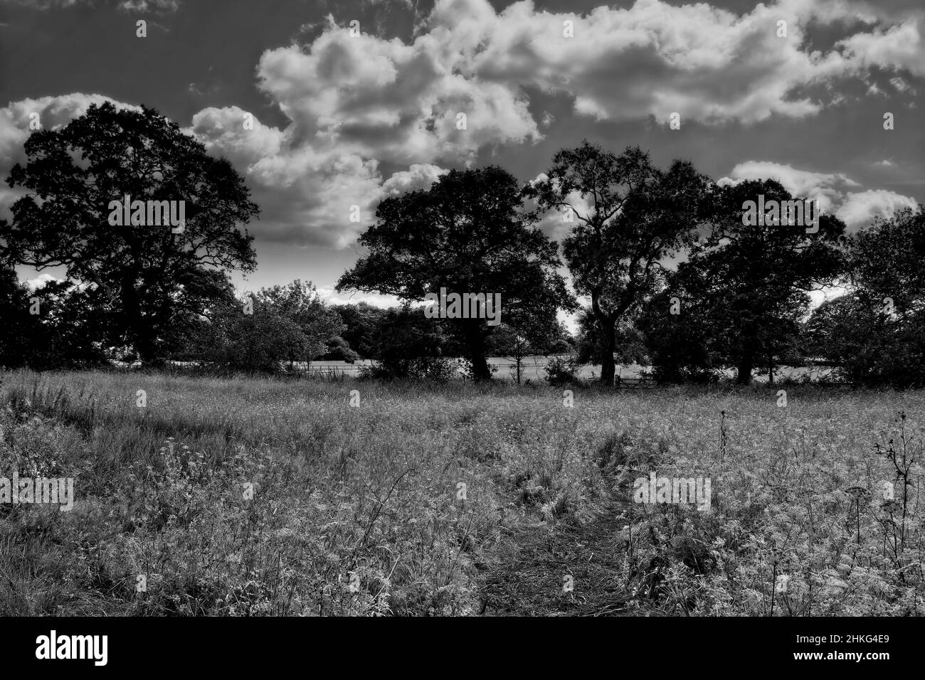 A sunny day in the southern English countryside Stock Photo - Alamy