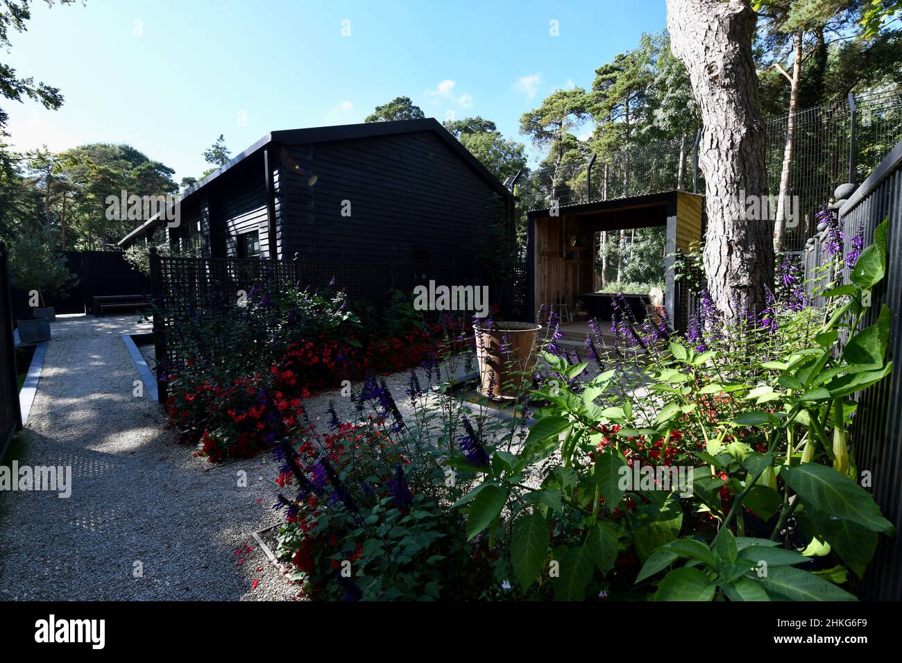 Lion Lodge at Port Lympne Animal Reserve, Kent UK Stock Photo - Alamy