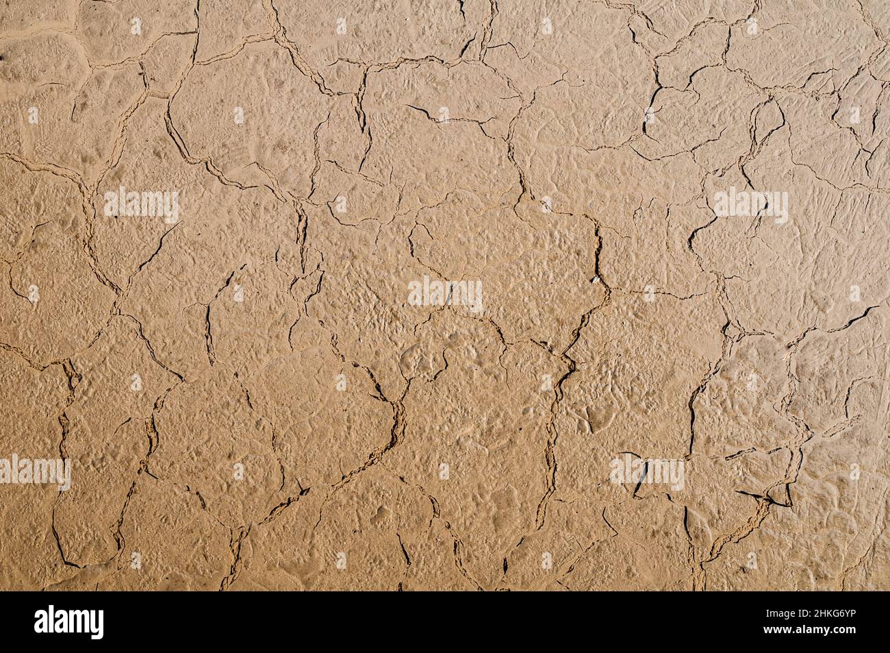cracked dirt background. Texture Stock Photo - Alamy